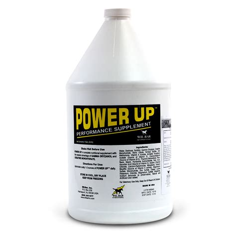 Power UP 1 Galón – Importadora Liberona Ltda.