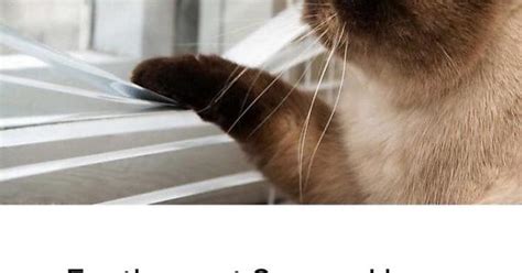 Im A Pro At Procrastination Album On Imgur