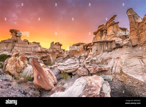 Bisti De Na Zin Wildnisgebiet Fotos Und Bildmaterial In Hoher