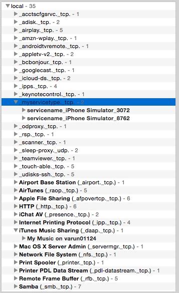 Bonjour Publish A Nsnetservice In Iosobjective C With Service Name