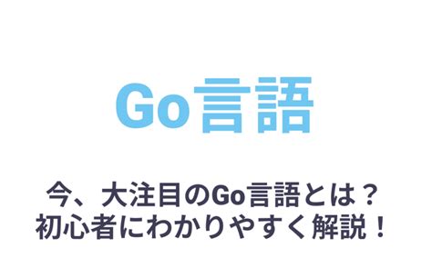 今大注目のGo言語とは何ができるのか特徴勉強方法を初心者にわかりやすく解説 Savvy Code