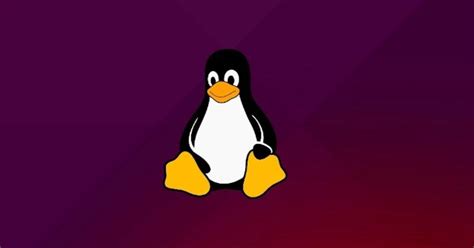 Shreya Gupta En Linkedin Basic Linux Commands 16 Comentarios