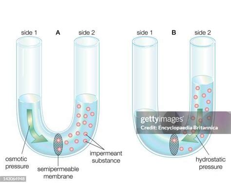 Liquid Diffusion Photos And Premium High Res Pictures Getty Images