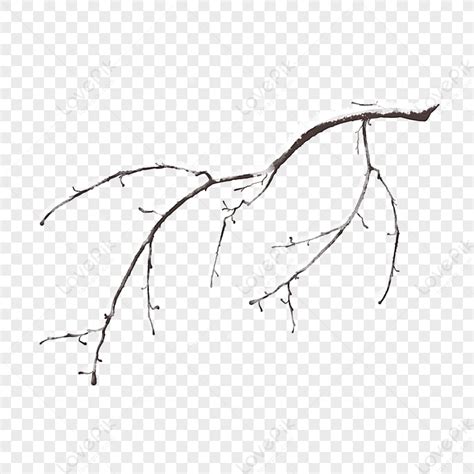 겨울 눈 수양 나뭇 가지 Png 일러스트 무료 다운로드 Lovepik