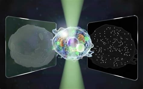 “great Unified Microscope” Reveals Hidden Micro And Nano Worlds Inside