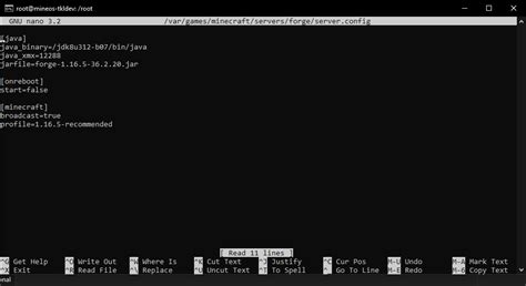 Forge Server Not Starting Forge MineOS Forum