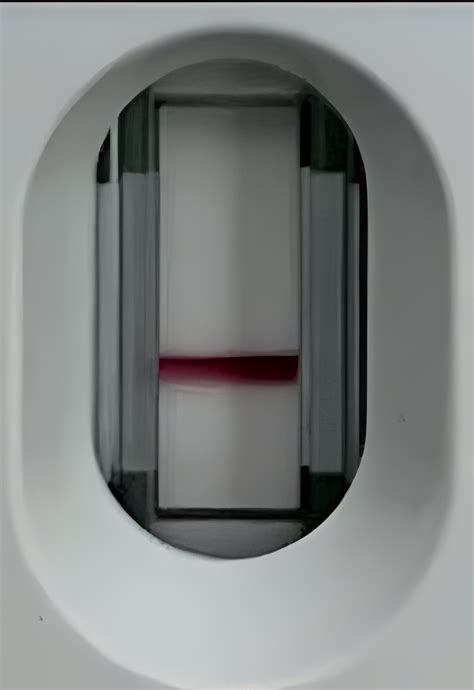 Segline Object Detection Dataset By Doni