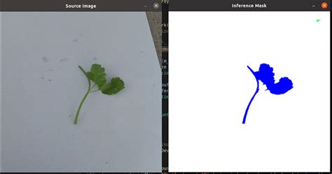 Custom Tao Unet Model Classifying Only Two Classes On Deepstream Tao