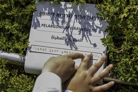 Hands On Braille Dots Stock Image Image Of Language 101643951