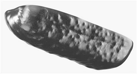 3d Kirby Cucumber 02 Cut Turbosquid 1503288