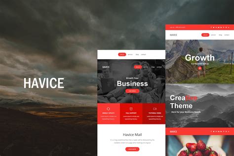 Havice Mail Responsive E Mail Template
