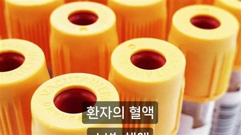 정확한 진단을 위해 검사하는 임상병리사 네이버 Tv