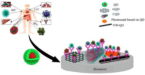 The Pivotal Role Of Quantum Dots Based Biomarkers Integrated With Ultra Sensitive Probes For
