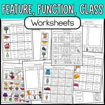 Feature Function And Class Worksheets By SPEDitorials TPT