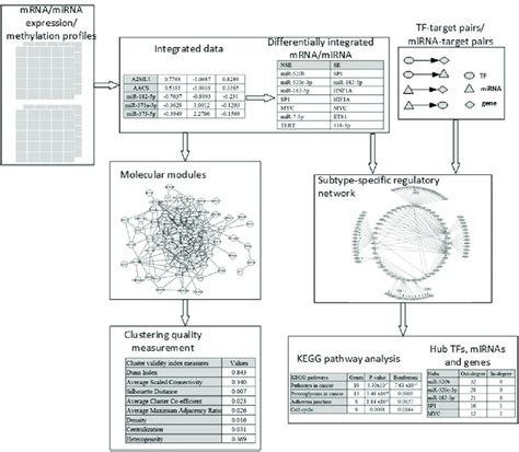 Flowchart Of The Analysis Of The Integration Of Dna Methylation And Download Scientific Diagram