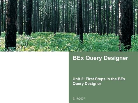 Unit 2 Bexquerydesigner Ppt