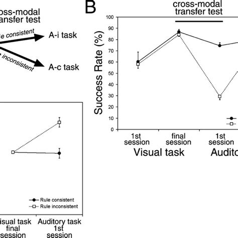 a c acquisition and cross modal transfer test a procedure for