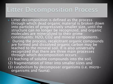 Litter Decomposition And Nutrient Dynamics Pptx