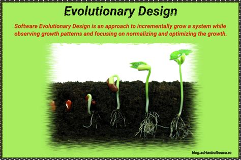 What Is Evolutionary Design Mozaic Works