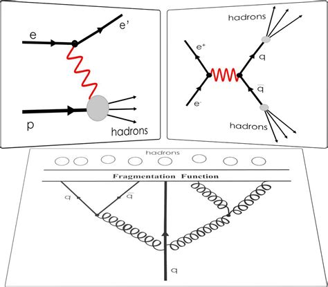 核物理与核技术全国重点实验室邢宏喜研究员在部分子碎裂函数研究方面取得重要进展 华南师大新闻网