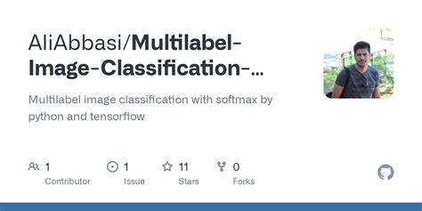 Github Aliabbasimultilabel Image Classification With Softmax
