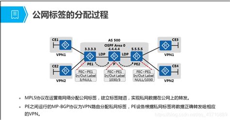 mpls 虚拟专用网络技术原理与配置 南岸青栀 的博客 csdn博客