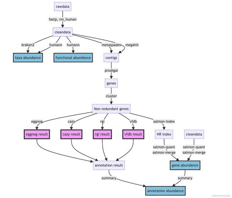 宏基因组分析流程（metagenomic Workflow）202405｜持续更新 Mmseqs2 Diamond Csdn博客