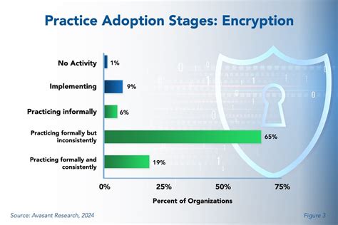 encryption best practices 2024 avasant