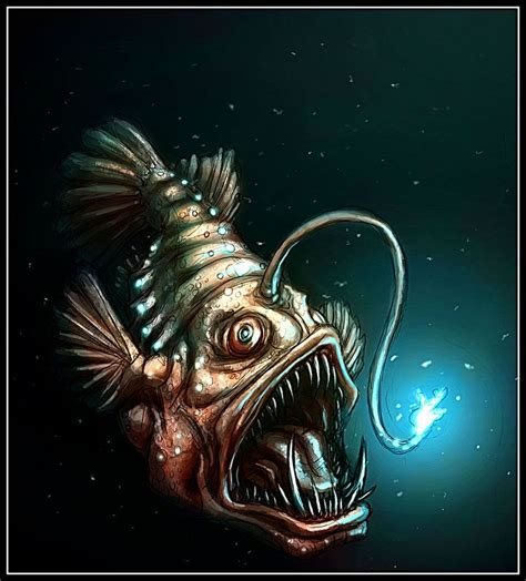 Angler Fish Deviantart