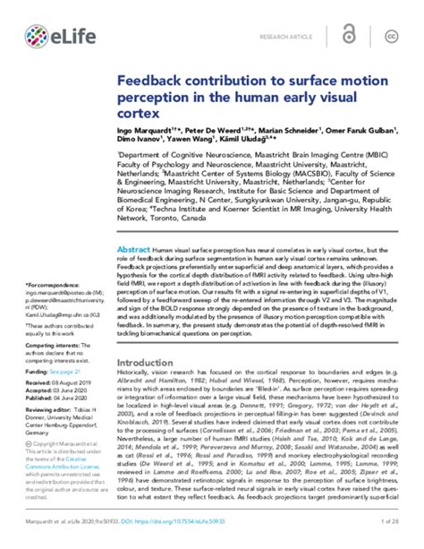 Pdf Author Response Feedback Contribution To Surface Motion Perception In The Human Early