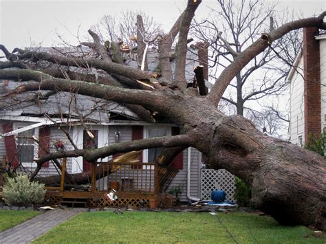 A Large Tree Lays On Top Of A House In Matthiesen Wickert Lehrer S C