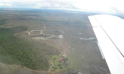 Fazenda Cocalinho Mt Área De 35500 Hectares Em Cocalinho Mt 104458