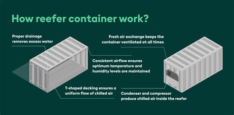 What Is A Reefer Container Facts And Dimensions Intermodal Equipment