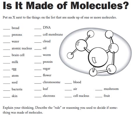 Printable 8th Grade Science Worksheets Worksheetsgo Worksheets Library