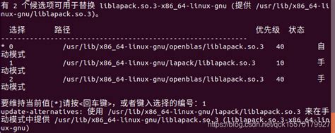 importerror usr lib x86 64 linux gnu libblas so 3 undefined symbol