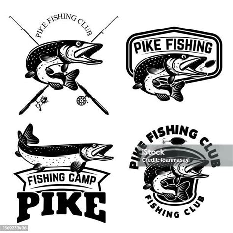 흑백 스타일의 파이크 낚시 엠블럼 세트 파이크 물고기 라벨 기호 포스터 배지 남자 어부에 대한 스톡 벡터 아트 및 기타 이미지