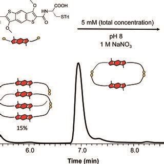 Reverse Phase HPLC Analysis Of MM Concentration In The Presence