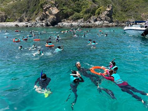 나트랑 호핑투어 후기 크레이지 자세히 네이버 블로그