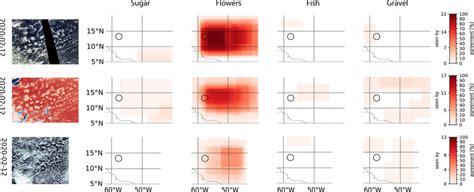 Manual Classification Examples For The Three Workflows Top To Bottom
