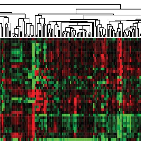 Unsupervised Hierarchical Clustering Of Mirna Expression Levels Using
