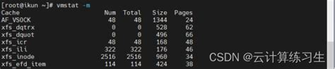 linux进阶篇：性能监控工具——vmstat命令详细讲解 csdn博客