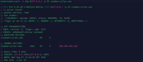 Protect Your Privacy Install Cloudflared On Raspberry Pi Raspberrytips