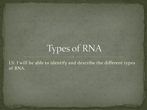 RNA Types And Transcription A Biology Presentation