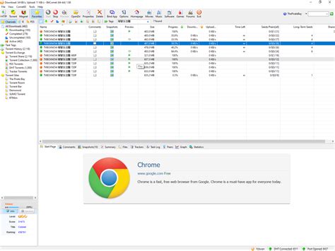 why long term seed will not start downloading bitcomet general
