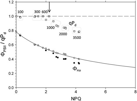 Relationship Between The Photosystem Ii Quantum Efficiency Φ Psii And