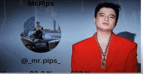 Mr Pips Cầm đầu đường Dây Lớn Nhất Trong Lĩnh Vực Lừa đảo Tài Chính Trên Mạng