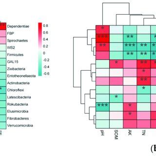 Relative abundance of soil bacterial community under the different... | Download Scientific Diagram