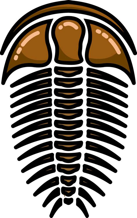 Clipart Fossile