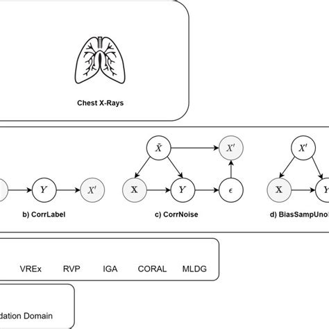 Procedure For Conducting Domain Generalization Experiments 1 We