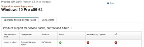 After Installing Bigfix Agent Clinet Is Showing Wrong Os Version